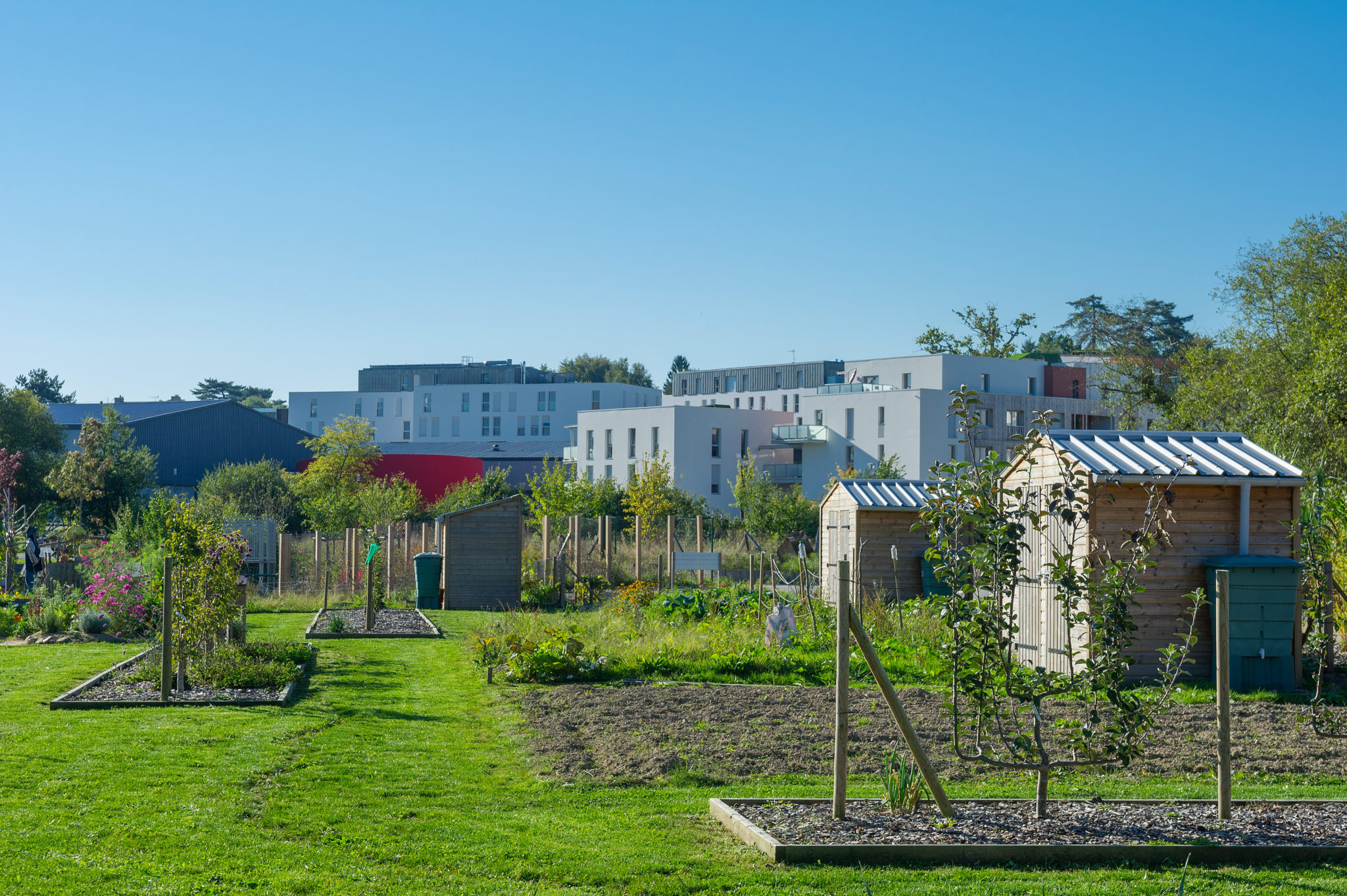 Jardins partagés - Nantes Métropole Aménagement